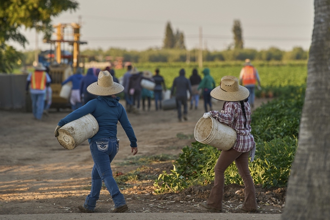 Photograph : Migrant farmworkers - Las Vegas Sun News