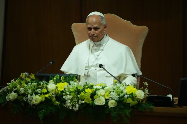 Pope calls for robust regulation of AI in manifesto that ponders the ...