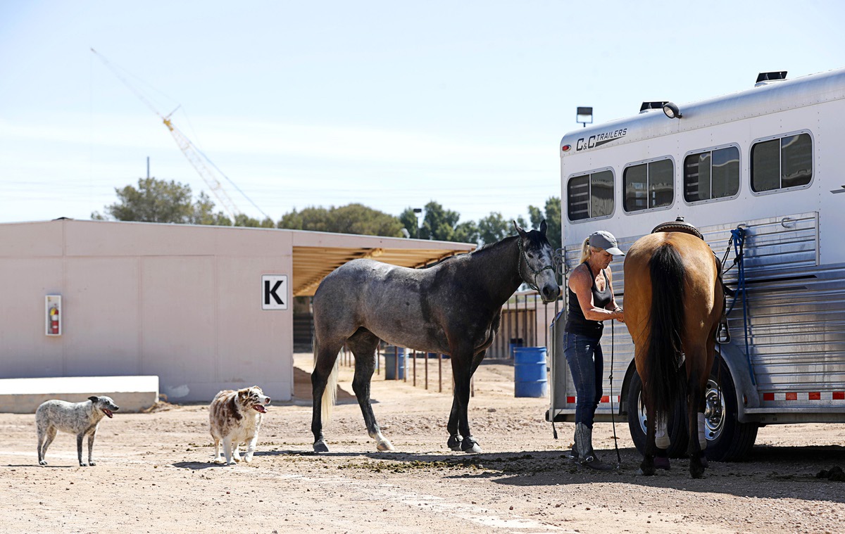 Las Vegas police: Teenager facing animal cruelty charges after ...